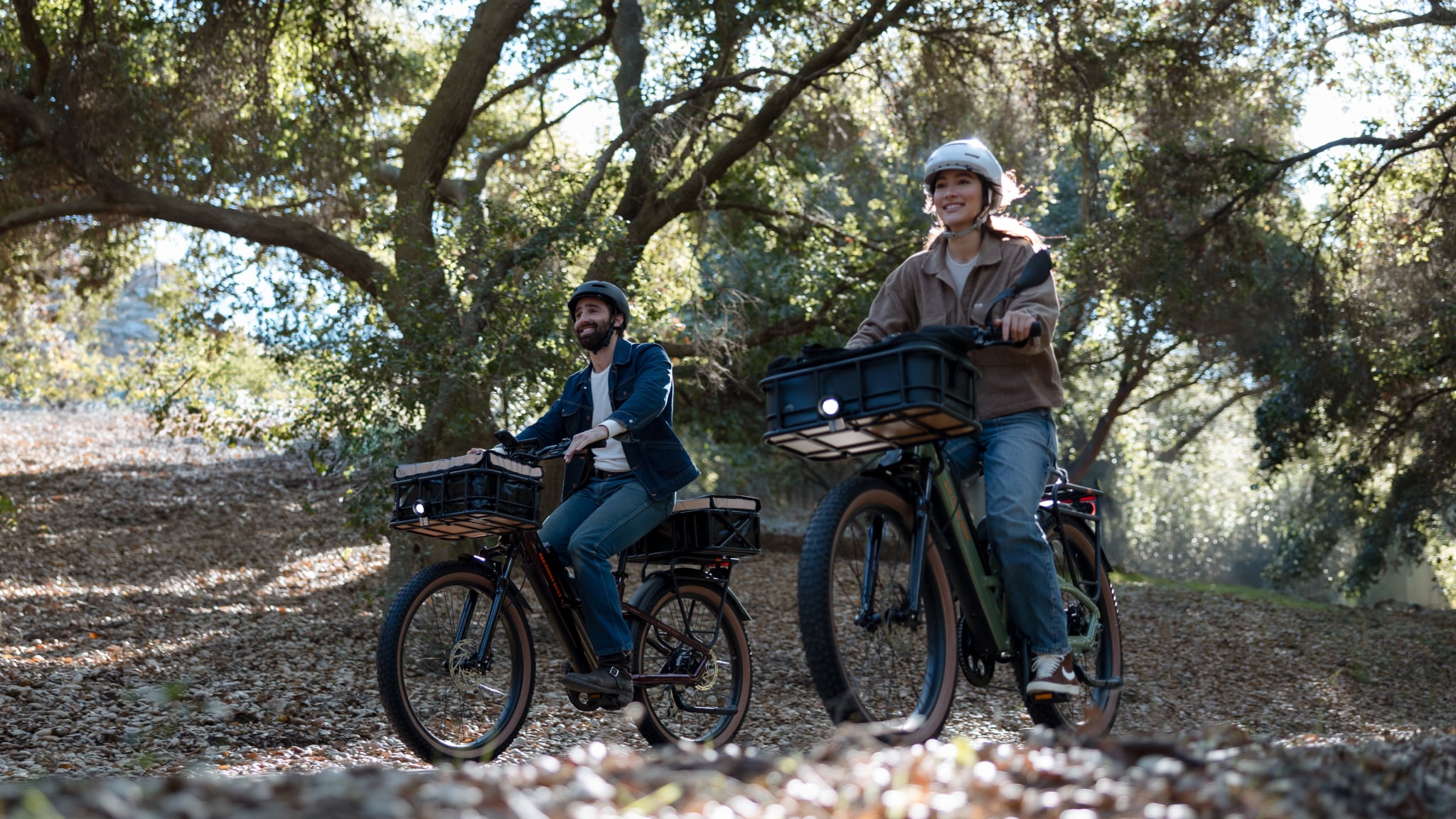 Rad Power Bikes Radster Trail Review: Is the Radster Worth It? - Seek ...