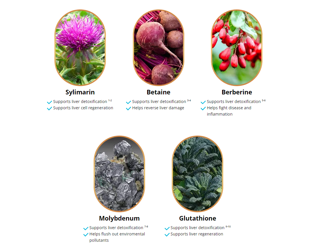 Liver Purification Complex | Liv Pure - Seek & Score